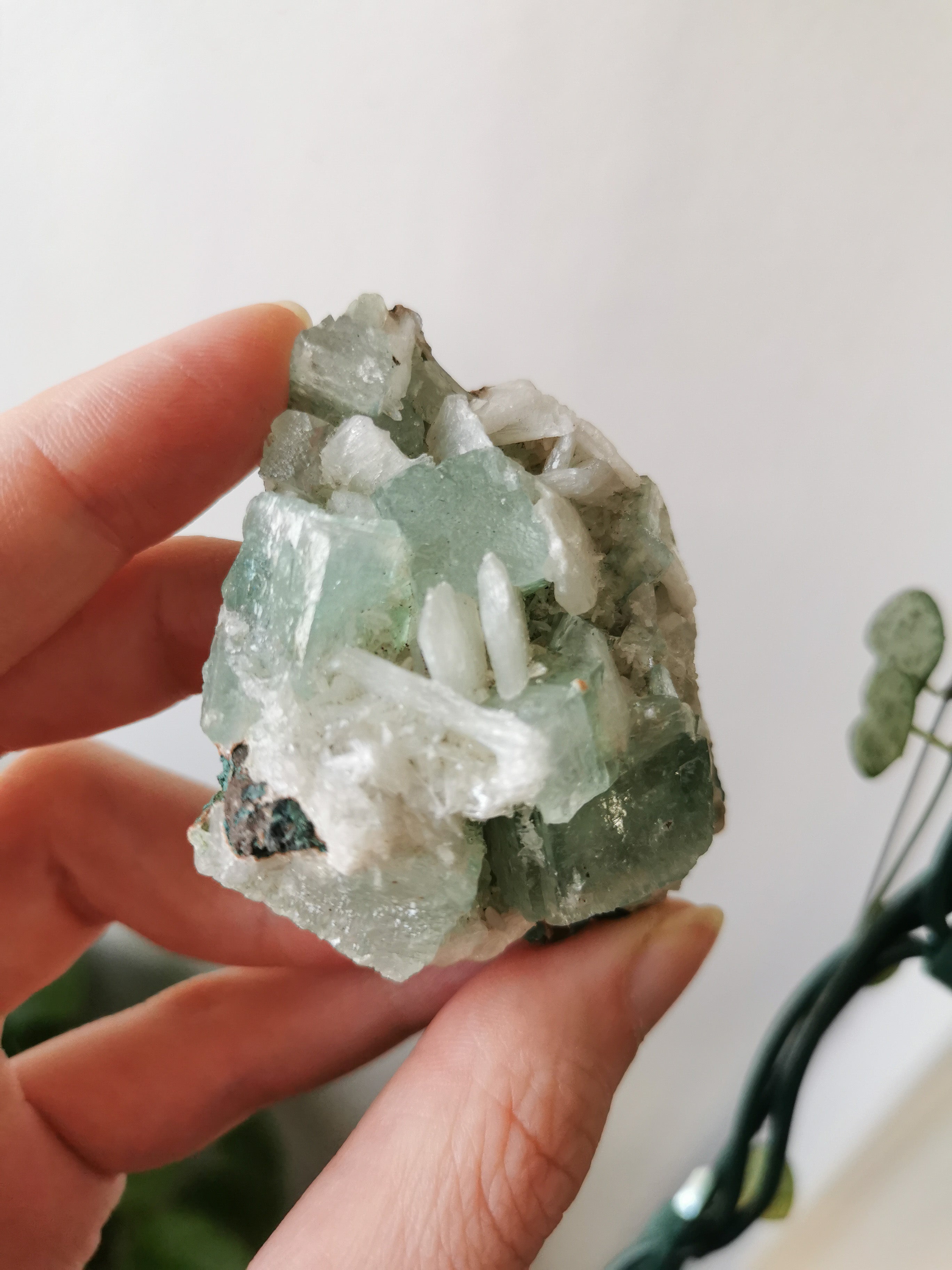 Green Apophyllite with stilbite – The Mineral Garden